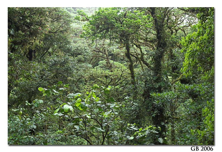 Nature Photography by Glenn Bartley - Costa Rican Scenic