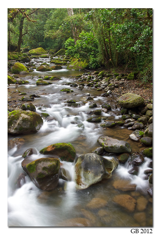 Nature Photography by Glenn Bartley - Costa Rican Scenic