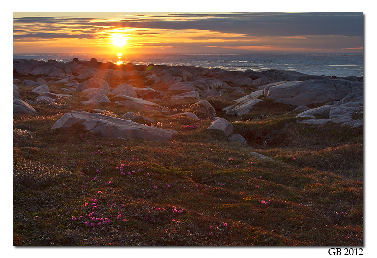 Nature Photography Gallery - Landscapes