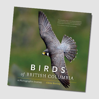 Nature Photography by Glenn Bartley - Nature Photography Purchase